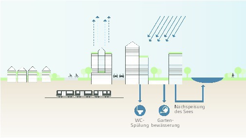 Seeschwamm-Diagramm